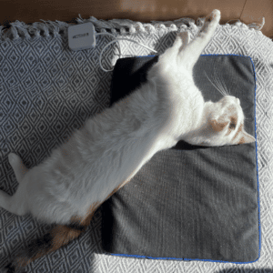 Petspemf - Clinically proven PEMF technology for dogs & cats
