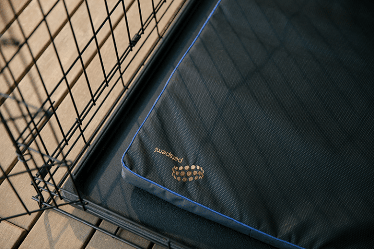 Petspemf Pad | PEMF Therapy Mat / Bed for Dogs