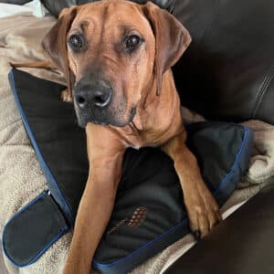 Petspemf Pad for Pets | PEMF Therapy Mat / Bed for Dogs