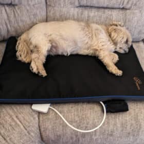 Petspemf Pad for Pets | PEMF Therapy Mat / Bed for Dogs