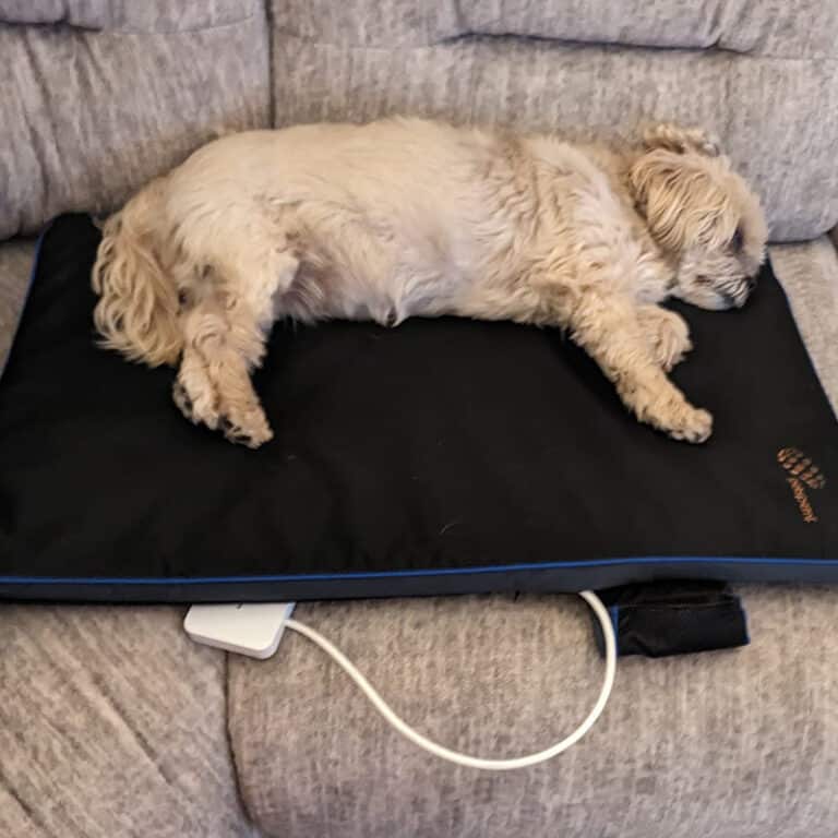 Petspemf Pad for Pets | PEMF Therapy Mat / Bed for Dogs