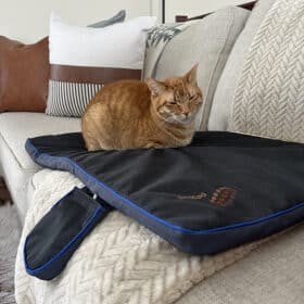 Petspemf Pad | PEMF Therapy Mat / Bed for Dogs