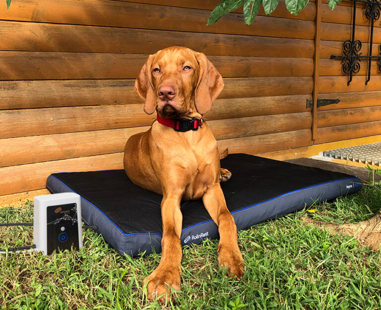 RollnRest Orthopedic PEMF Bed | Petspemf