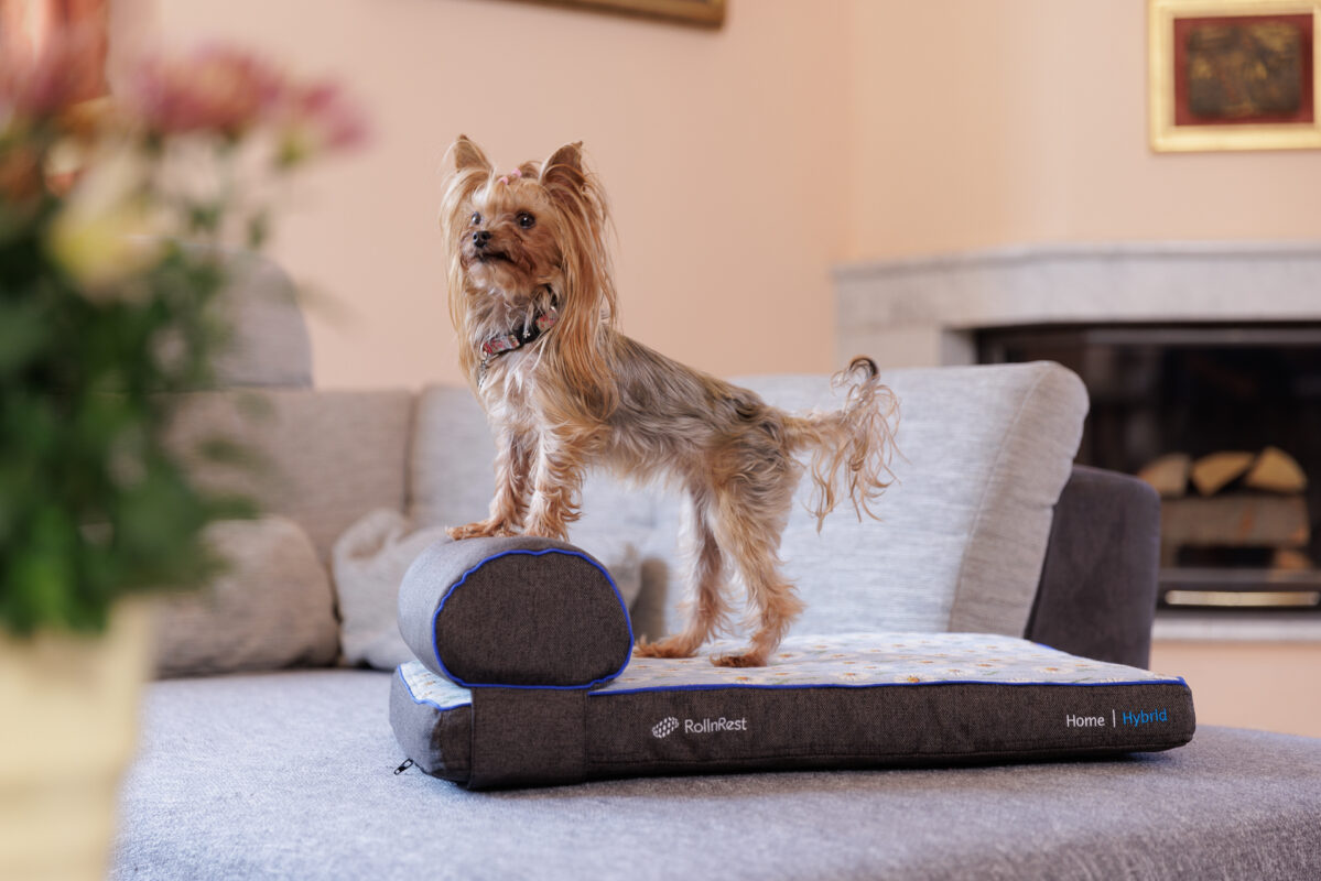 RollnRest Orthopedic PEMF Bed | Petspemf